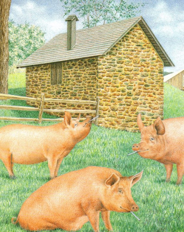 Whimsical Pig Art | Art By Bruce